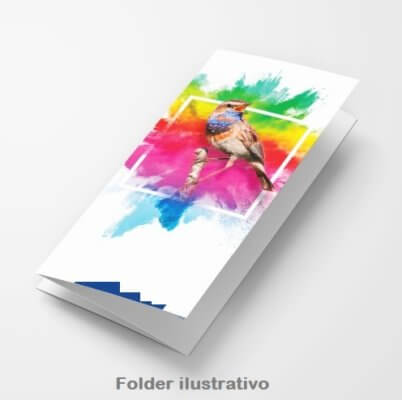 Papel Couché matte 210 gramas - Brindes Diplomata